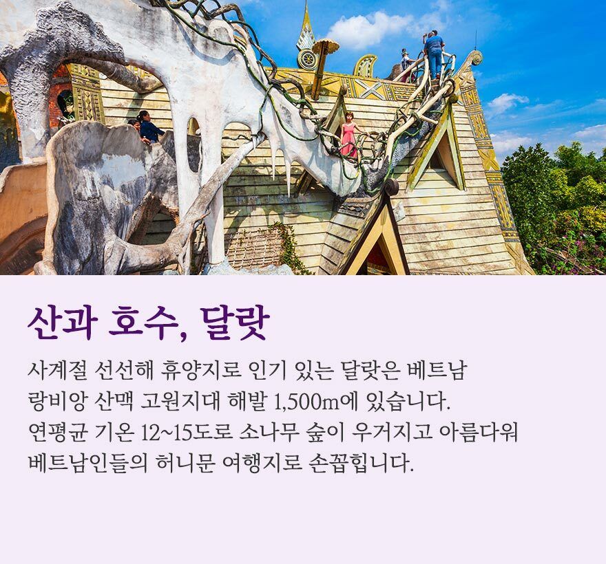 [hmall] [요즘 대세 관광지를 직항으로][참좋은여행] 베트남 달랏 패키지 4일 null | 홈쇼핑모아